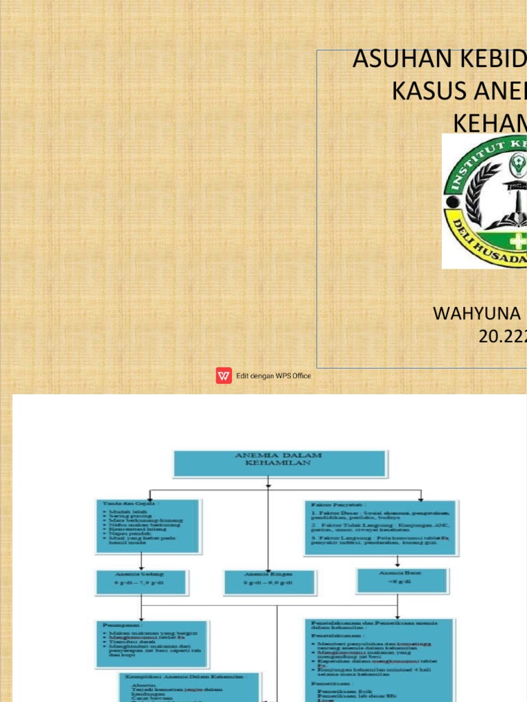 Tugas Bu Nurul (PPT Anemia Dalam Kehamilan+Bagan) | PDF