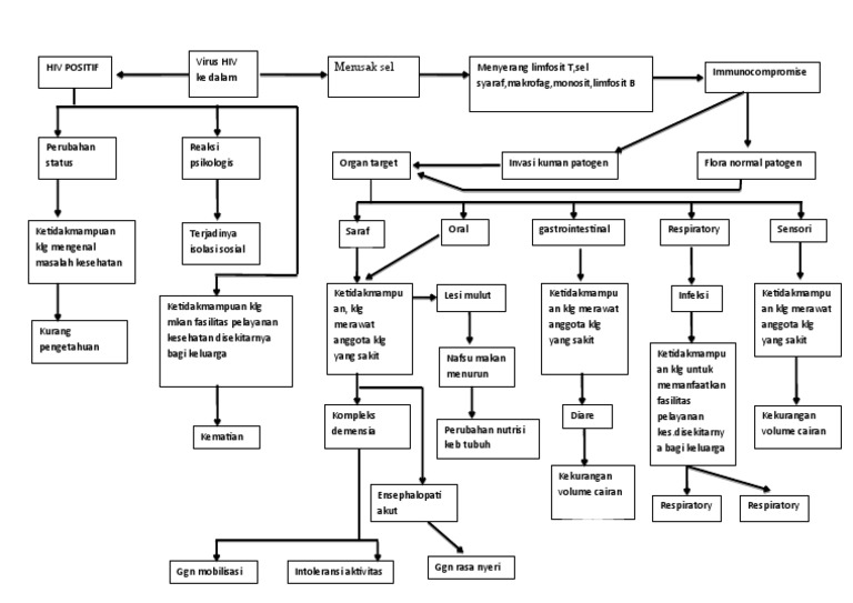Pathway Hiv Aids | PDF