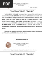 Modelo De Constancia Laboral Chofer Pdf