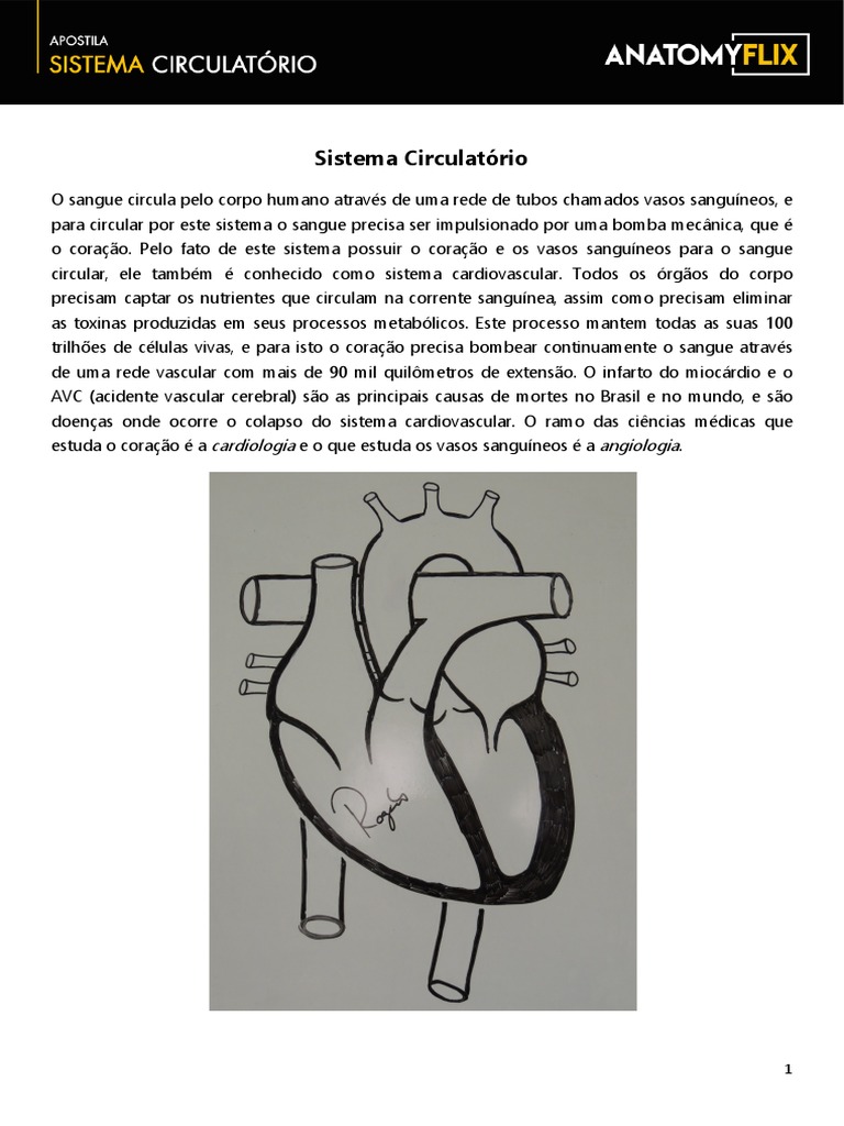 Organização e funções do sistema circulatório humano | PDF | Coração ...