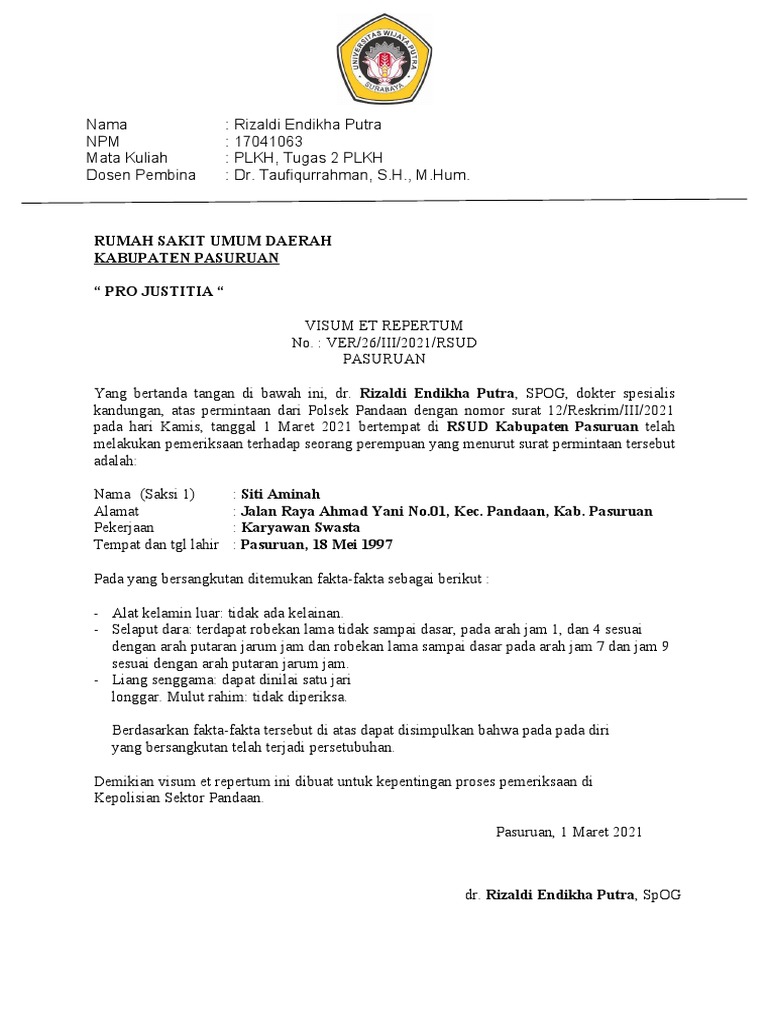 Tugas 2 PLKH (Hasil Visum) | PDF | Pengembangan Diri