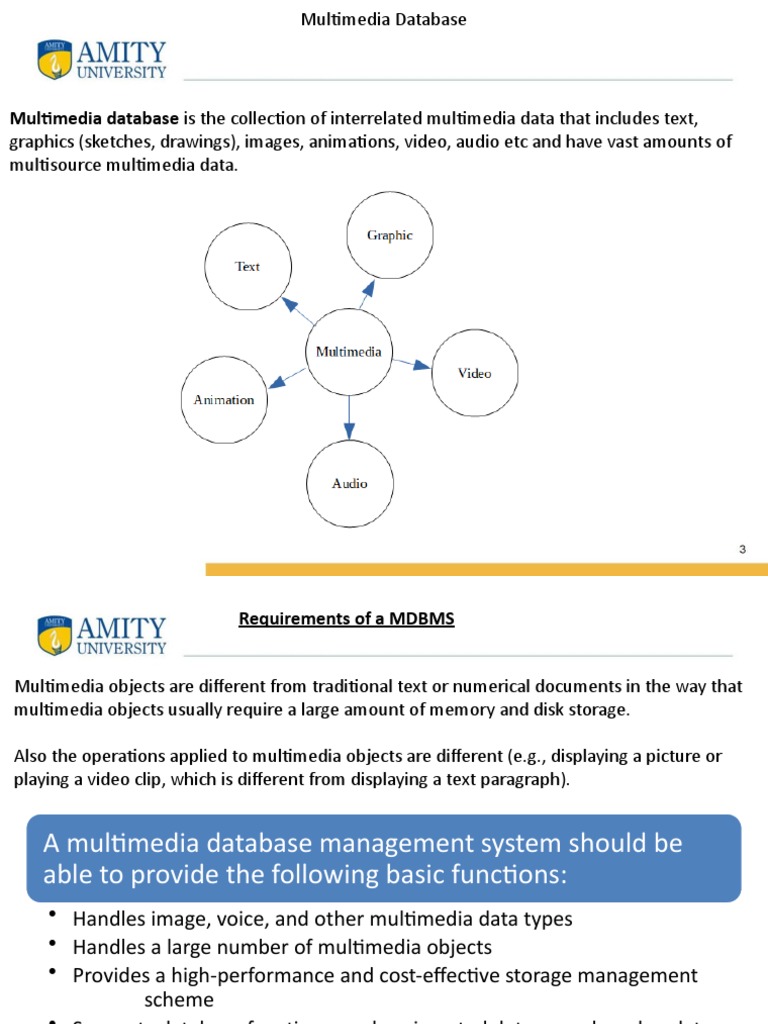 DBMS - Multimedia Database | PDF | Databases | Computer Data Storage