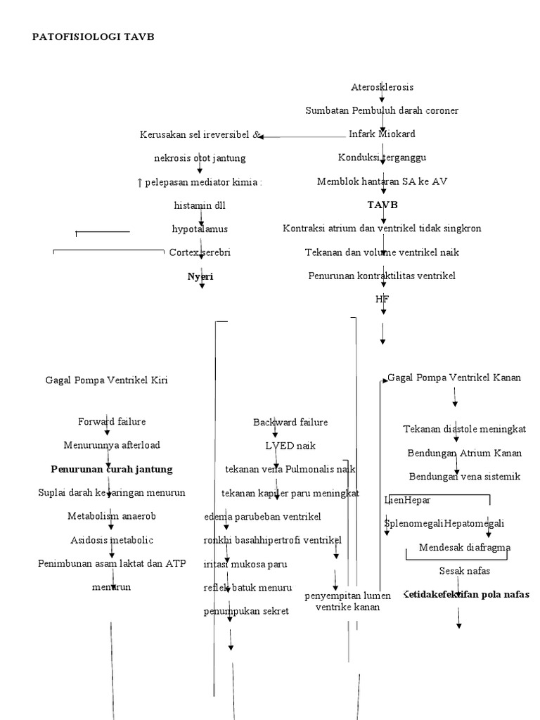PATOFISIOLOGI TAVB Ne | PDF