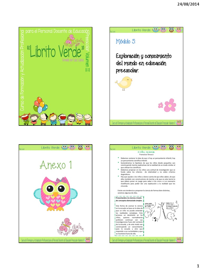 Librito Verde Mini | PDF | Aprendizaje | Conocimiento
