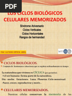 Marc Frechet Proyecto Sentido PDF | PDF | Desorden hiperactivo y ...