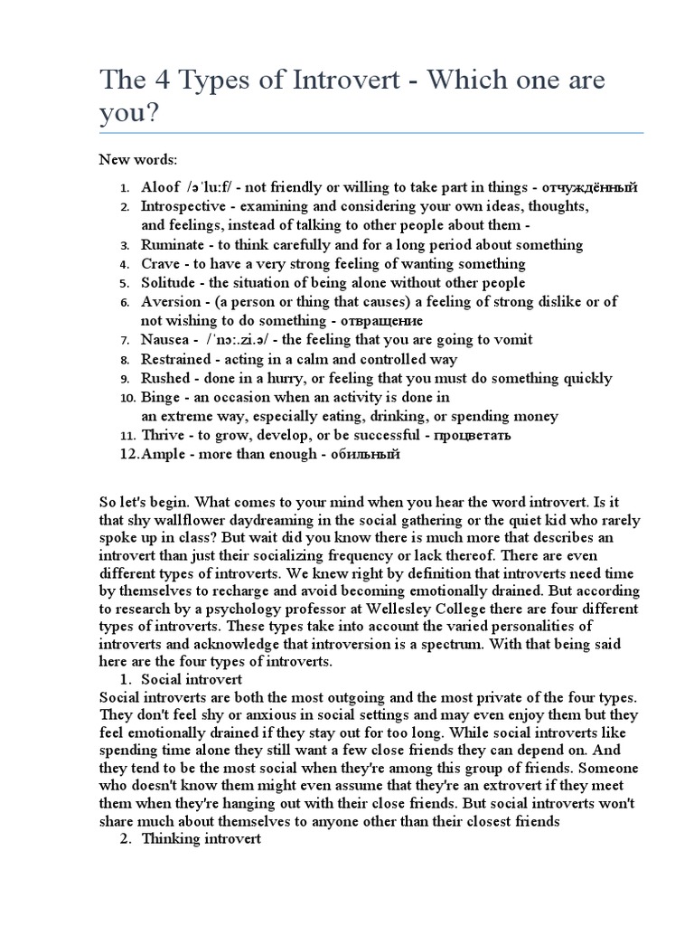 The 4 Types of Introvert | PDF | Extraversion And Introversion | Shyness