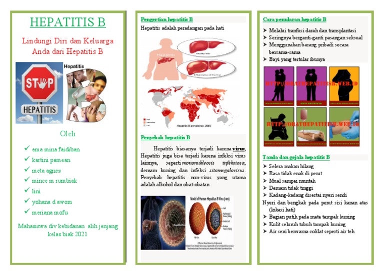 Leaflet Hepatitis 1 | PDF