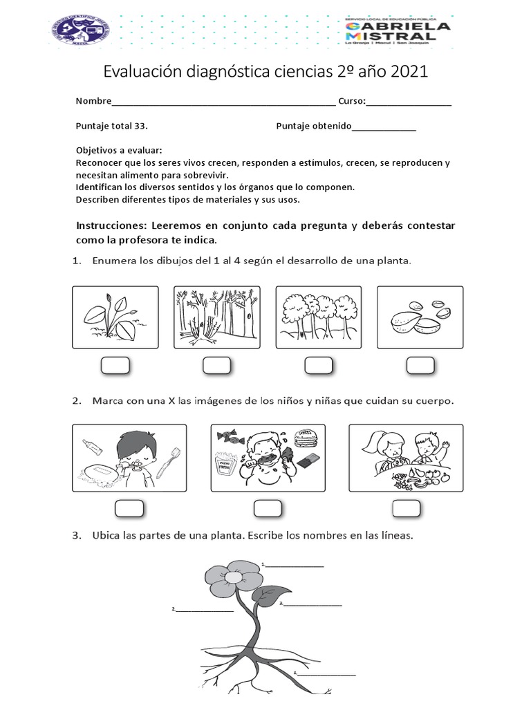Evaluación Diagnóstica 2º Año 2021 Ciencias | PDF | Crecimiento ...
