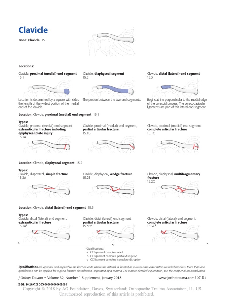 AO Classification 2018 Clavicle | PDF | Skeletal System | Injury