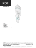 Top Podiatry ICD-9 to ICD-10 Codes | PDF | Toe | Foot