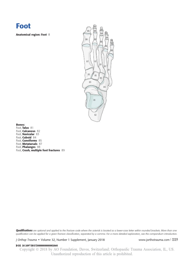 AO Classification 2018 Foot | PDF | Toe | Foot