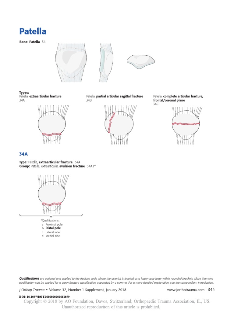 AO Classification 2018 Patella | PDF | Biomechanics | Surgical Specialties