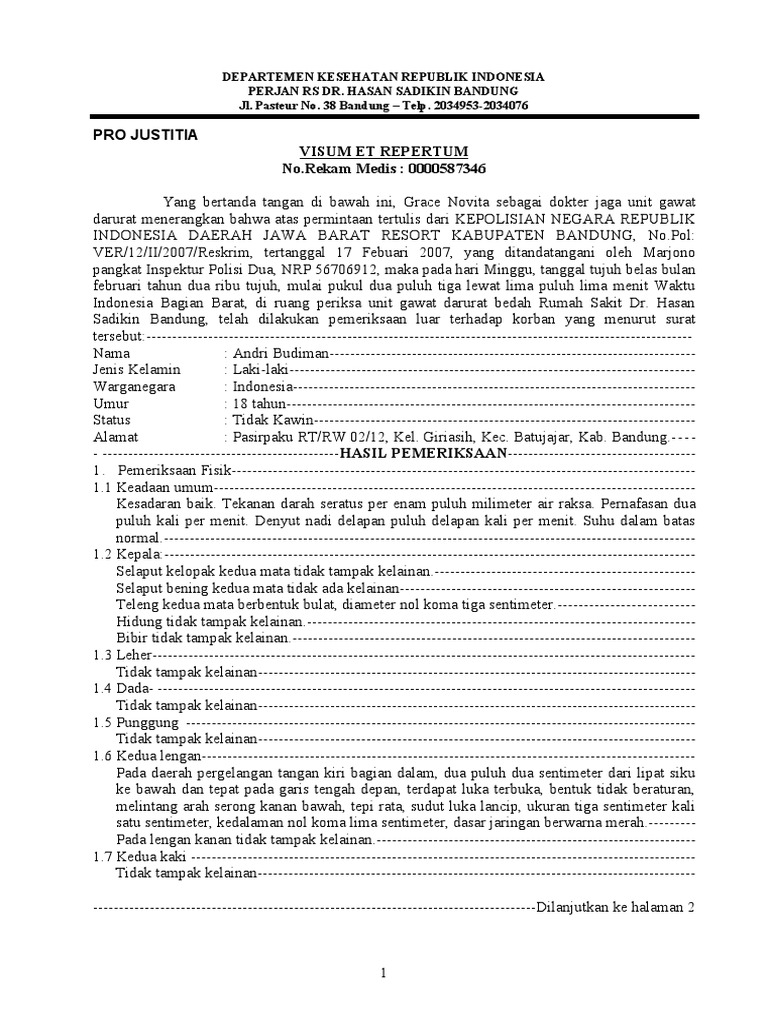 Contoh Visum | PDF