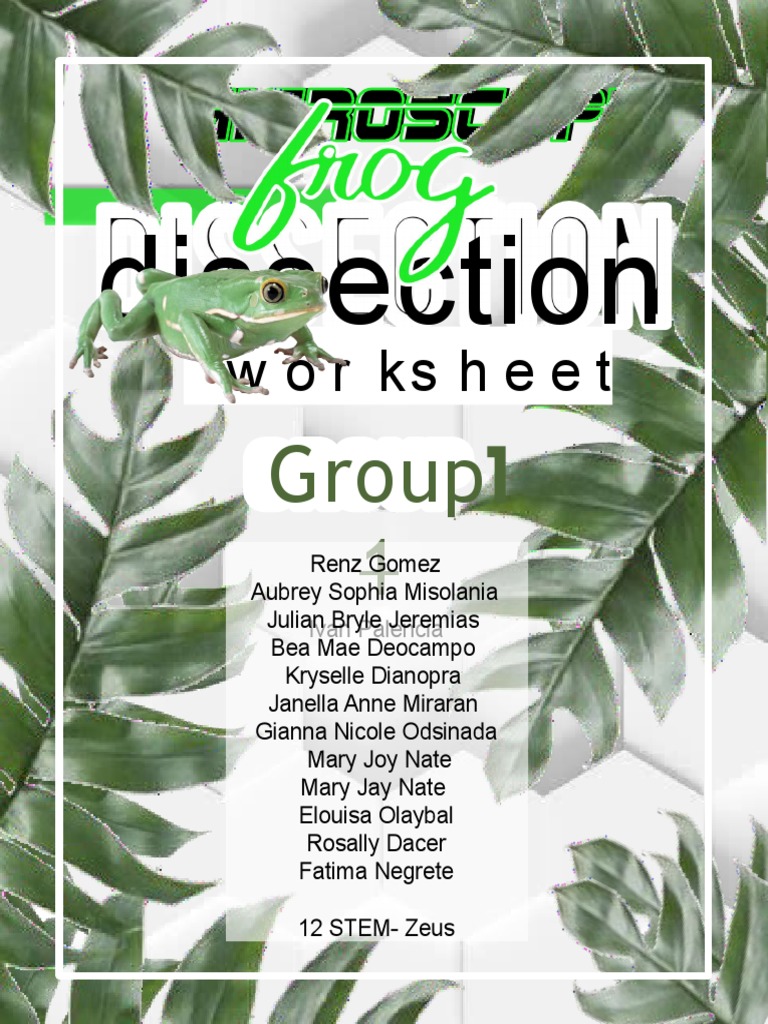 Frog Dissection | PDF | Atrium (Heart) | Frog