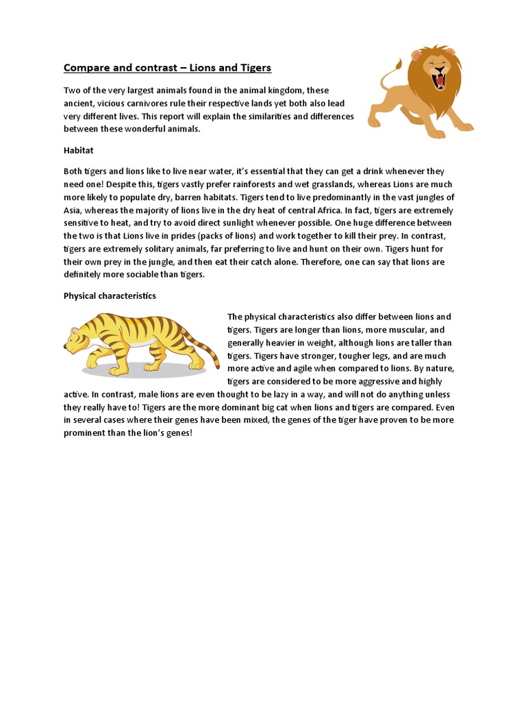 Lions V Tigers | PDF | Lion | Tiger
