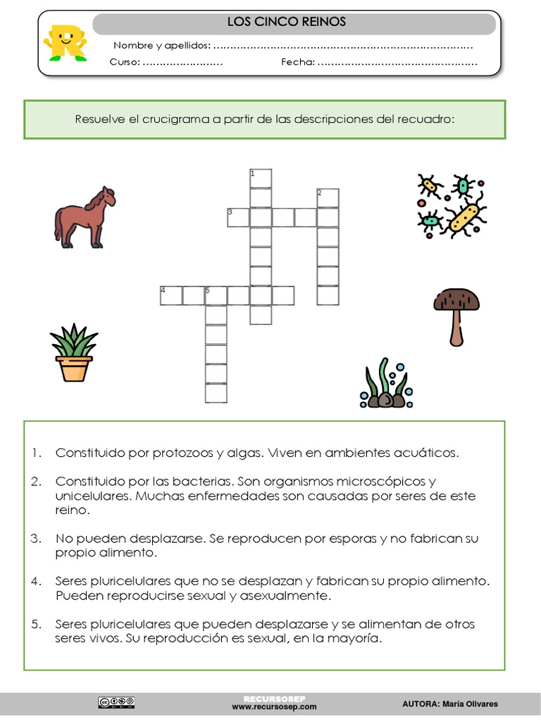 Los Cinco Reinos | PDF | Ciencia y matemáticas
