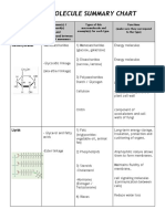 Macromolecule Comparison Table | PDF