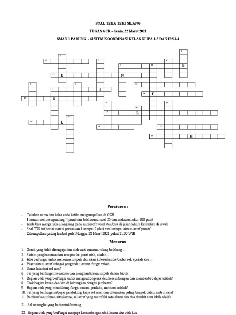Tugas TTS Siswa Tentang Sistem Saraf | PDF