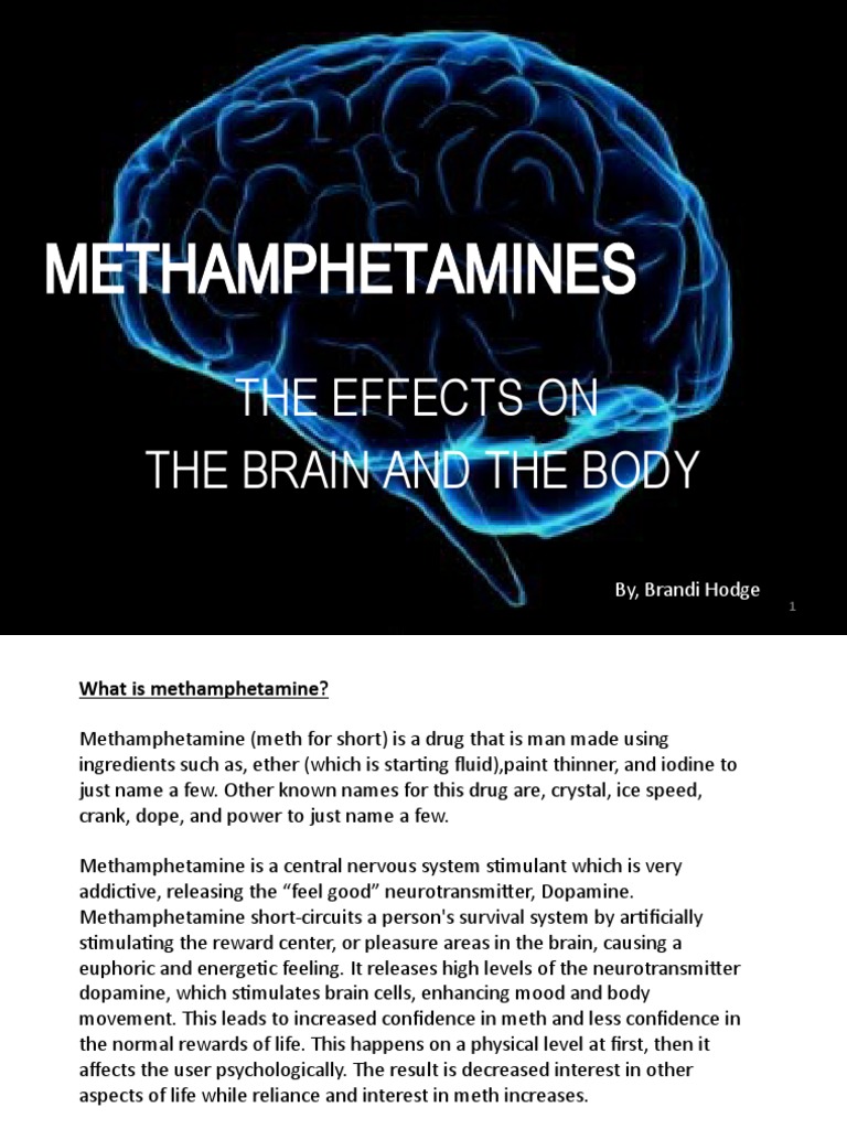 Methamphetamines: The Effects On The Brain and The Body | PDF ...