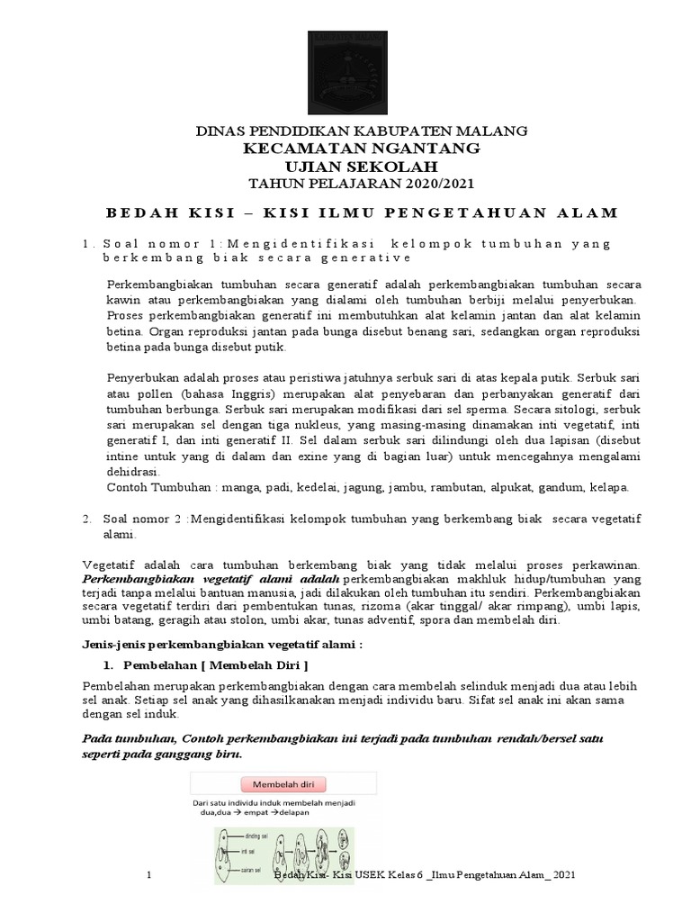 Rangkuman Materi Ipa Sesuai Kisi - Kisi Usek KLS 6 THN 2021 | PDF