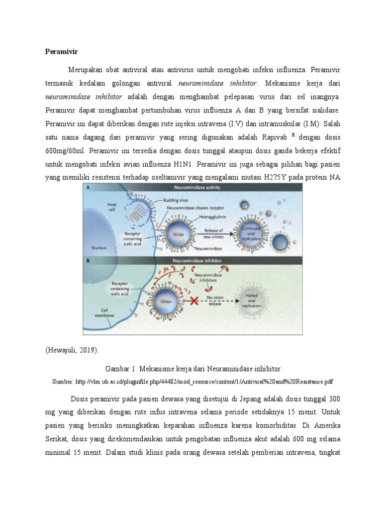 Peramivir | PDF