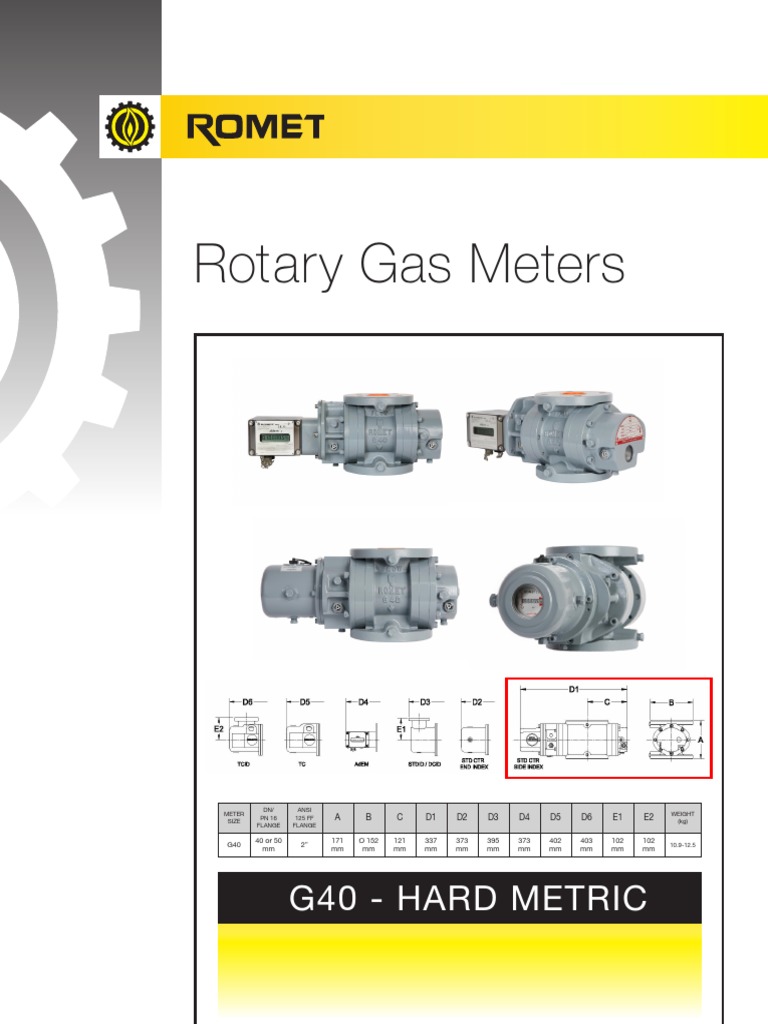 Rotary Gas Meters: G40 - Hard Metric | PDF | Nature