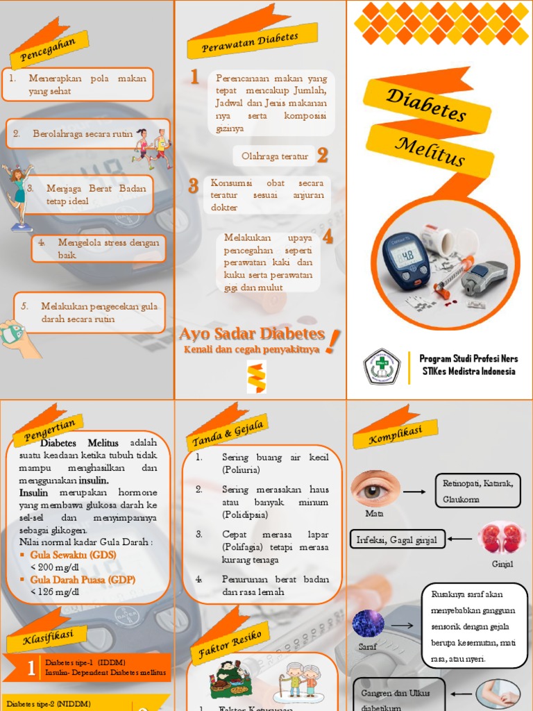 Leaflet DM Fix | PDF