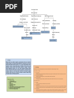 LP Vomiting Profuse | PDF