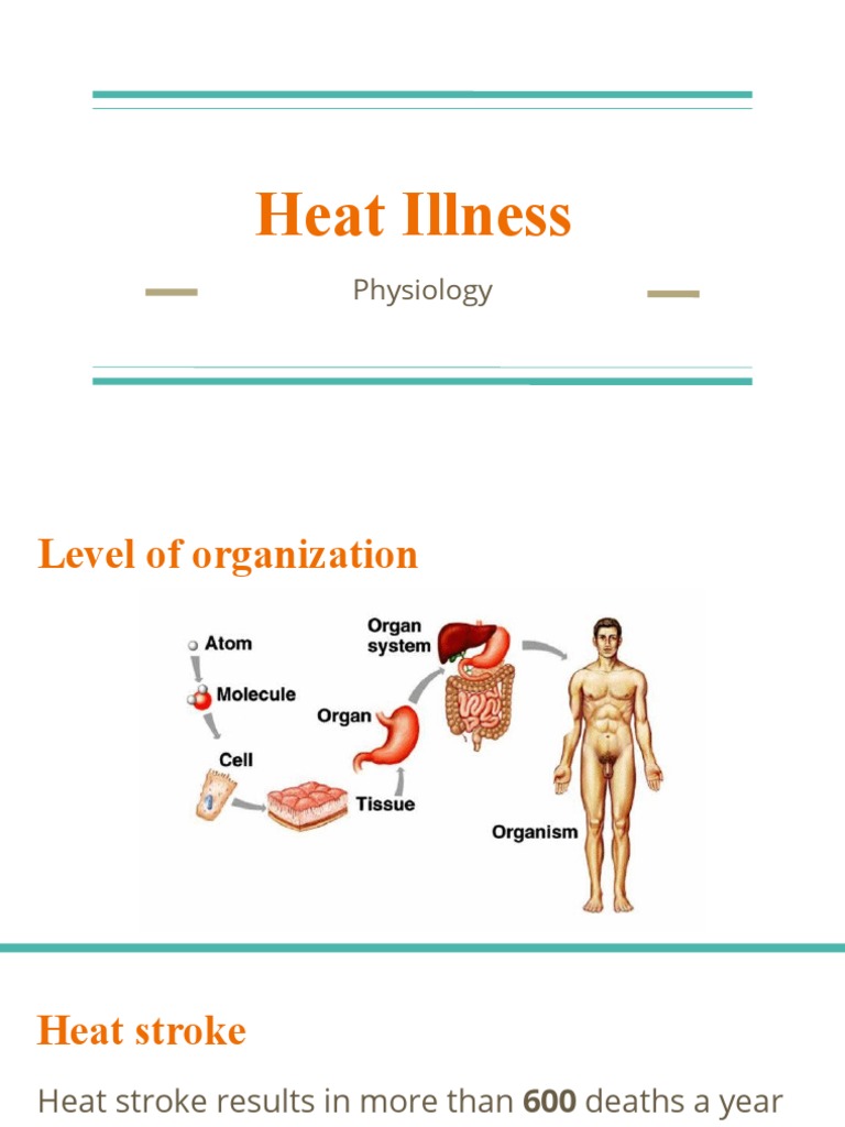 Heat Illness | PDF