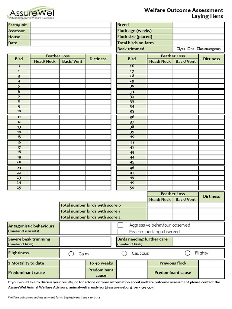 Laying Hens Welfare Assessment | PDF | Aviculture | Domesticated Birds