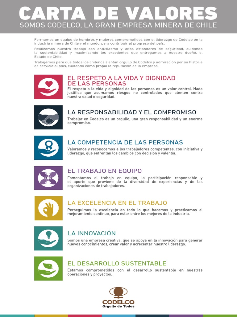 1.1 Carta de Valores | PDF