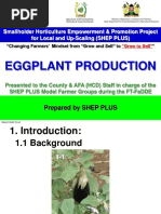 Covo Rugare Gold PLUS | PDF | Fertilizer | Seed