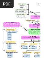 Policies and Guidelines On Cash Advances | PDF | Per Diem | Expense