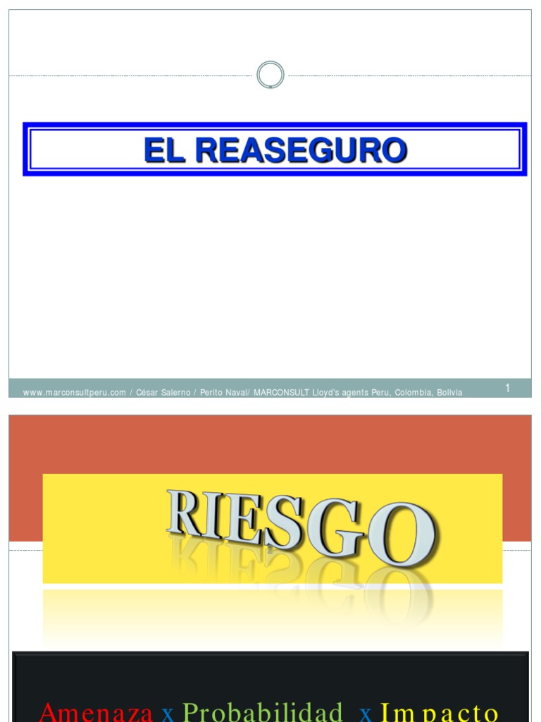 Guía Completa sobre Reaseguro y Riesgos | PDF | Reaseguro | Póliza de seguros