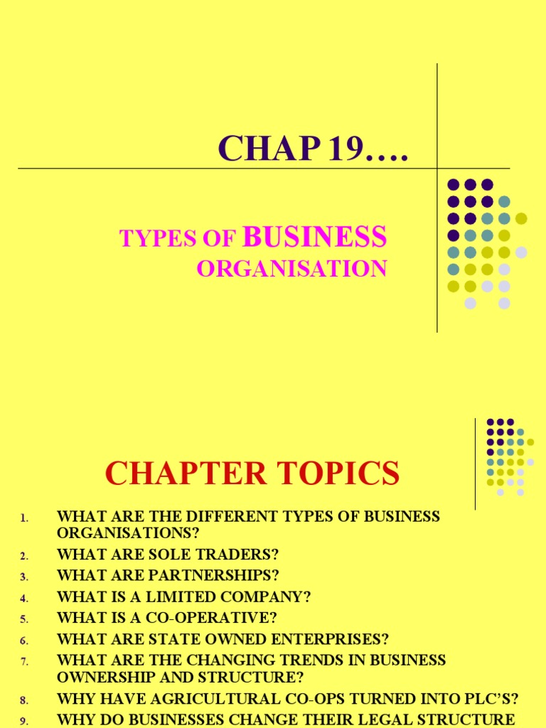 Types of Business Organizations Explained | PDF | Limited Company | Stocks