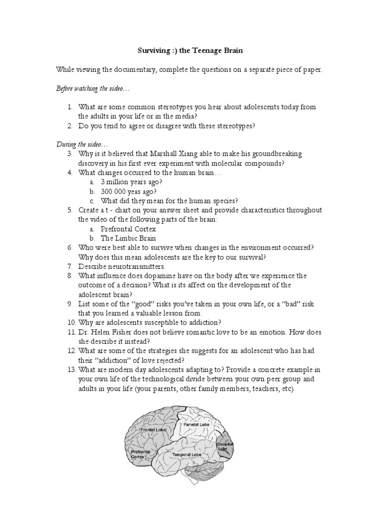 Before Watching The Video : Surviving:) The Teenage Brain | PDF | Self ...