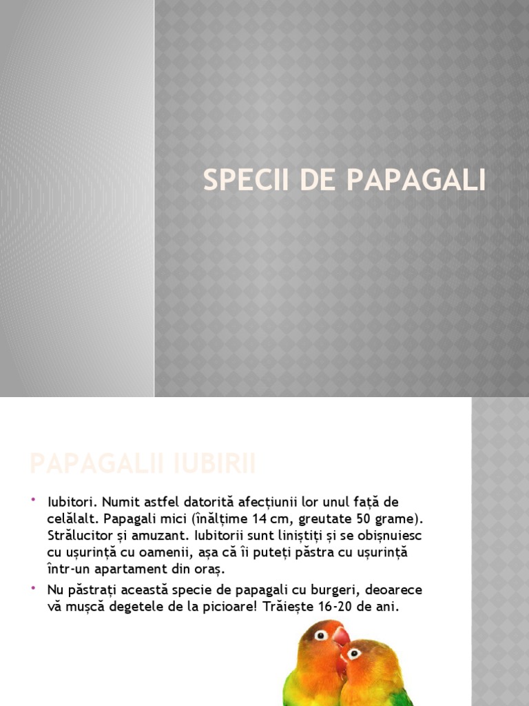 Specii de Papagali | PDF