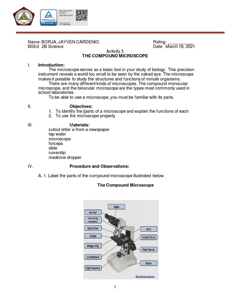 CMB Laboratory Activity 3 BORJA JAYVEN C | PDF | Microscope ...