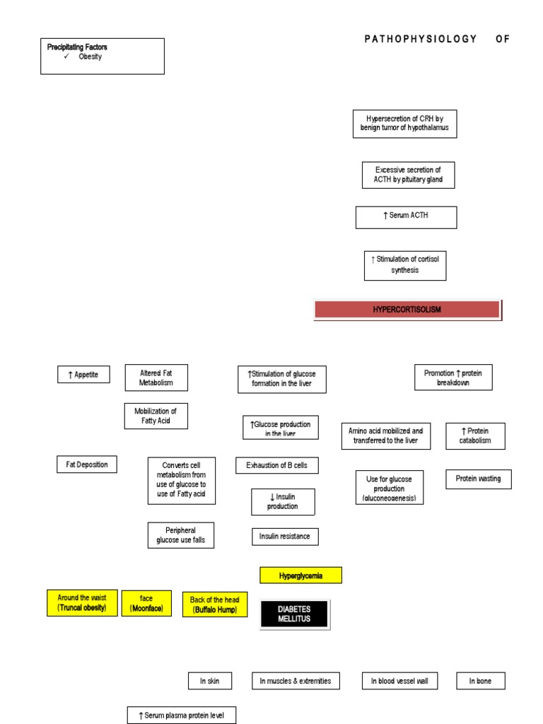 Pathophysiology Cushing S Syndrome | PDF | Medical Specialties | Physiology