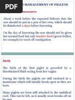 Pig Feeding Guidelines and Charts | PDF | Pig | Animals And Humans