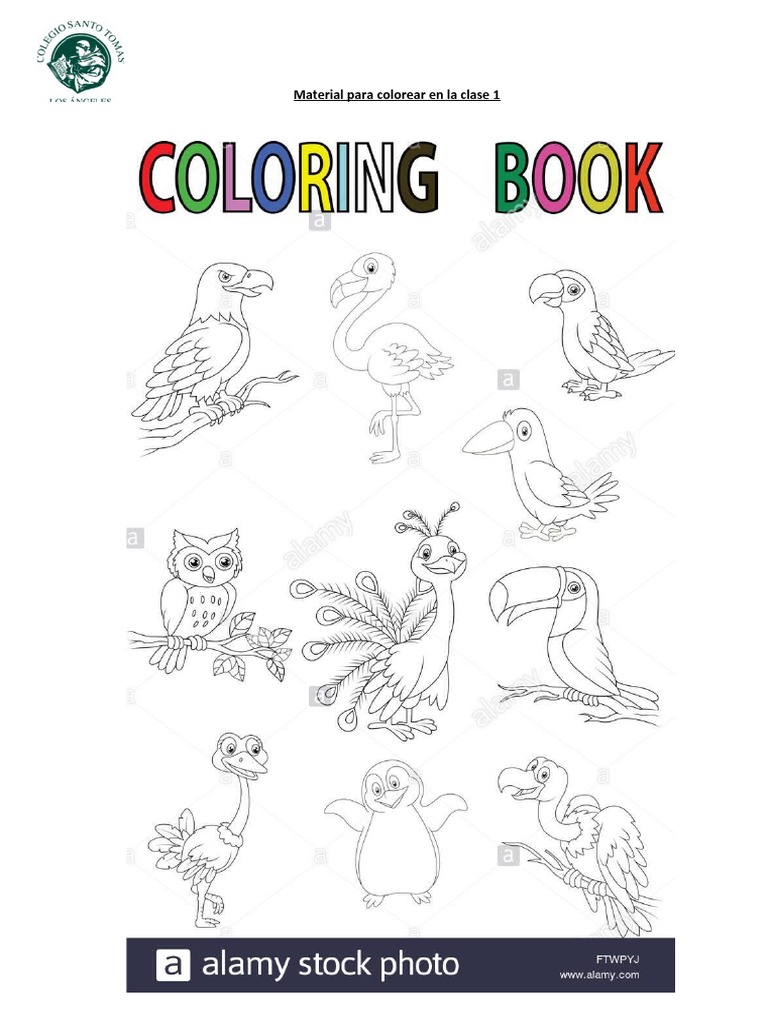 Guía 1 Las Aves para Colorear | PDF