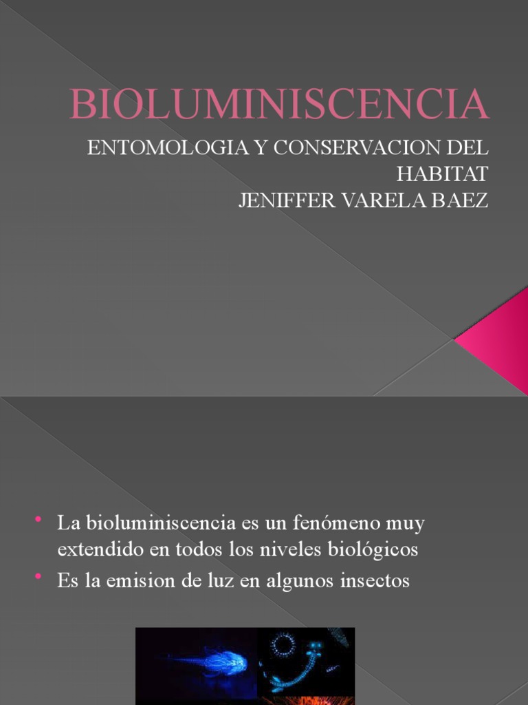 Bioluminiscencia en Insectos y Animales | PDF