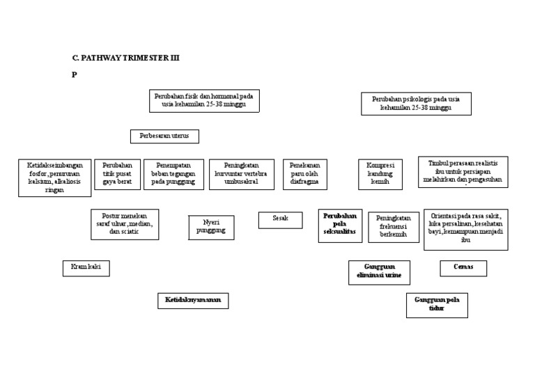 Pathway Antenatal | PDF