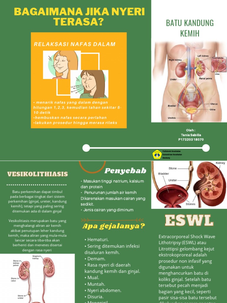 MENGENAL PENYEBAB DAN GEJALA VESIKOLITHIASIS SERTA PENANGANANNYA | PDF