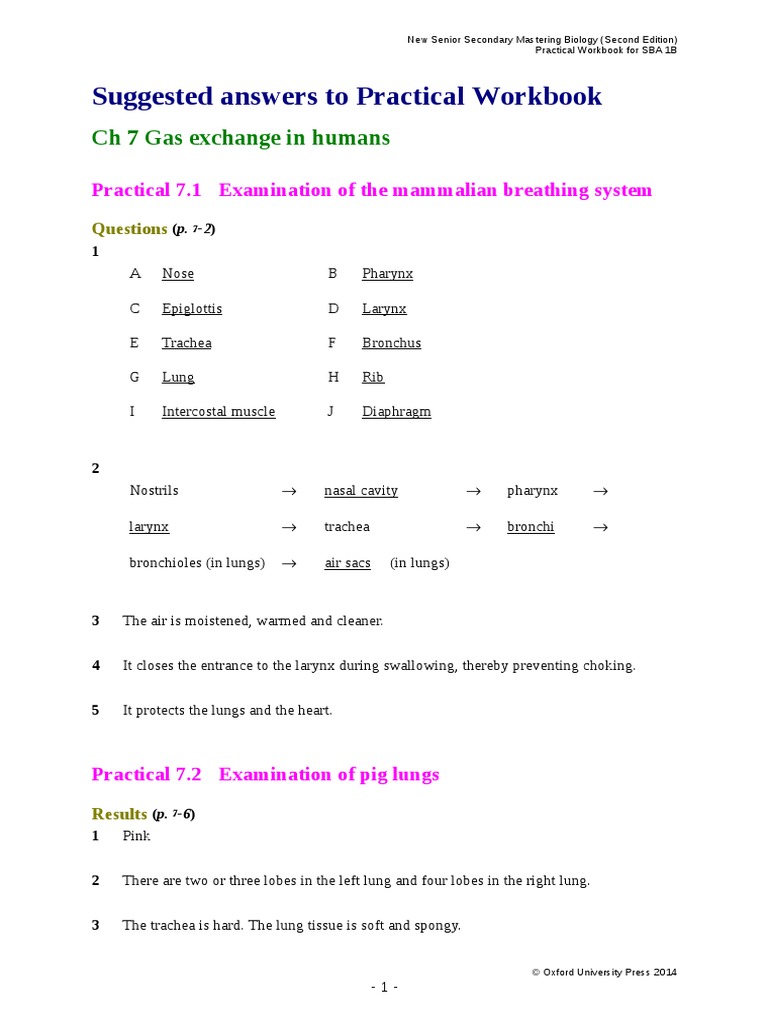 Suggested Answers To Practical Workbook: CH 7 Gas Exchange in Humans ...