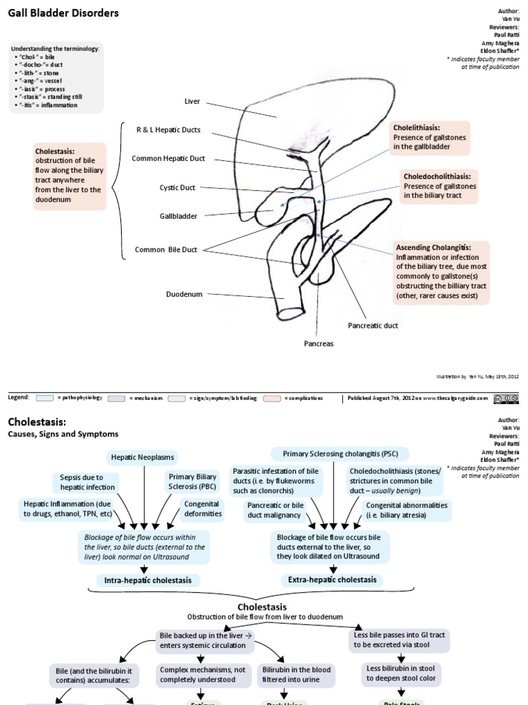 CalGuide - GI - Gall Bladder Disorders | PDF | Bile | Gallbladder