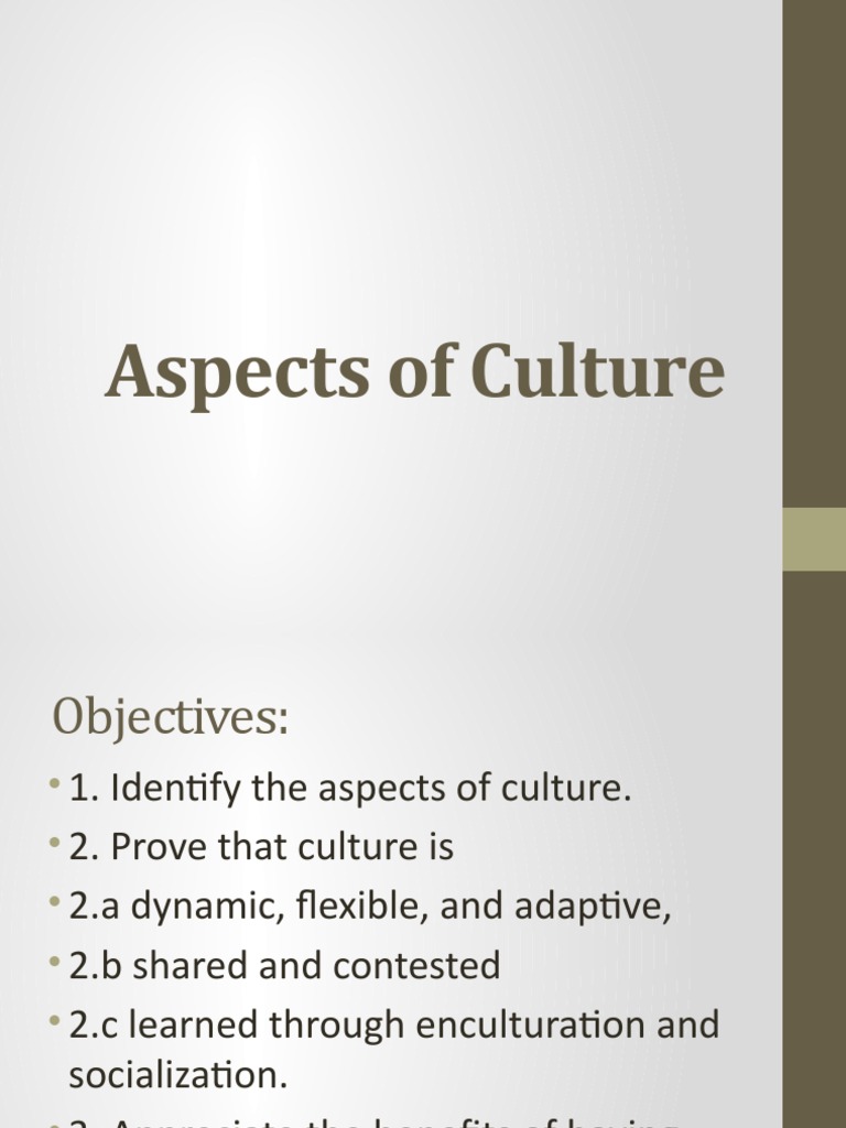 Aspects of Culture | PDF | Socialization | Sociology
