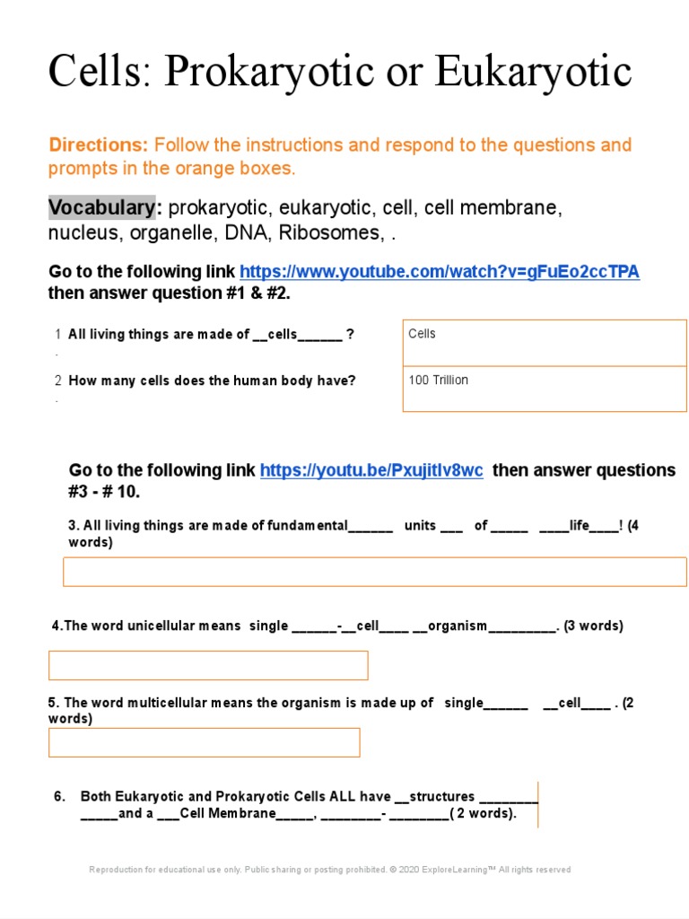 PRESTON HOLT - Cells Investigation LEXILE 610 | PDF | Eukaryotes | Cell ...