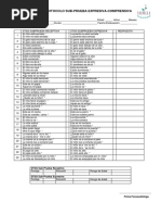 Protocolo STSG | PDF | Pronombre | Sintaxis