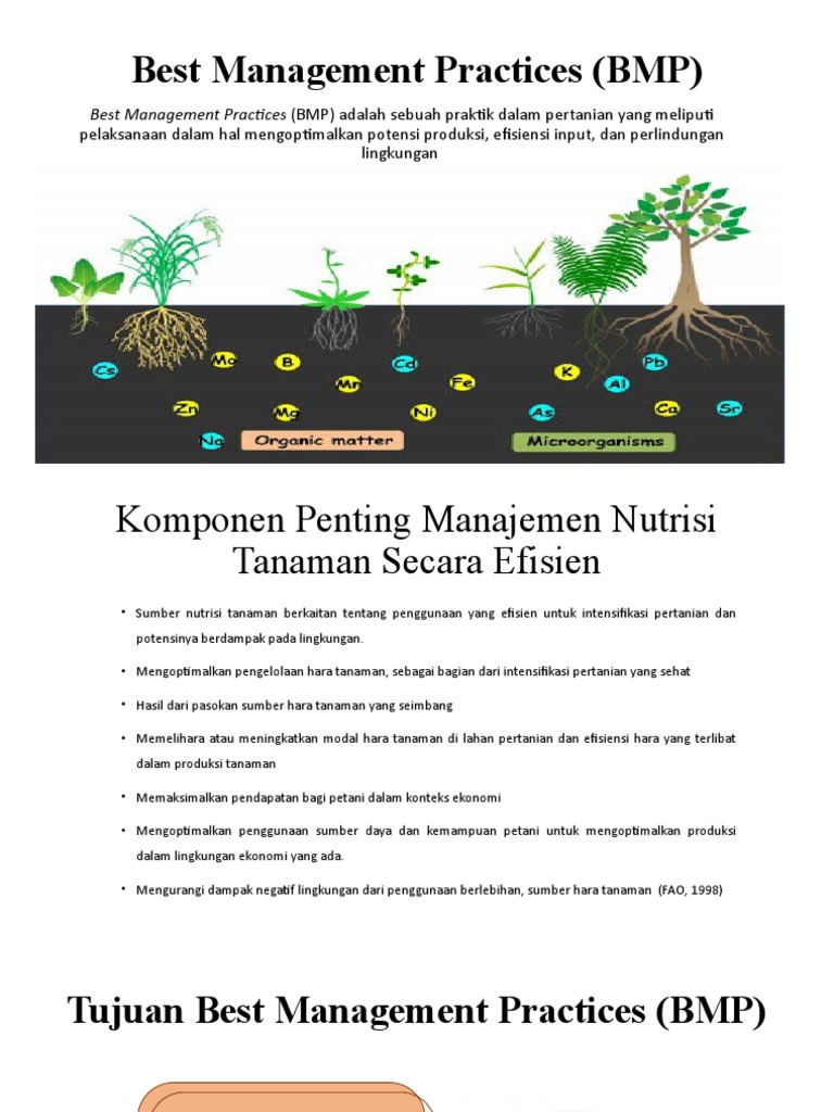 Best Management Practices (BMP) | PDF